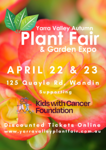 How to propagate Salvias - Victorian Salvia Study Group